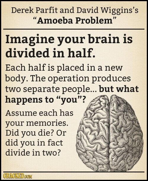 Confusing Thought Experiments Designed to Perplex You