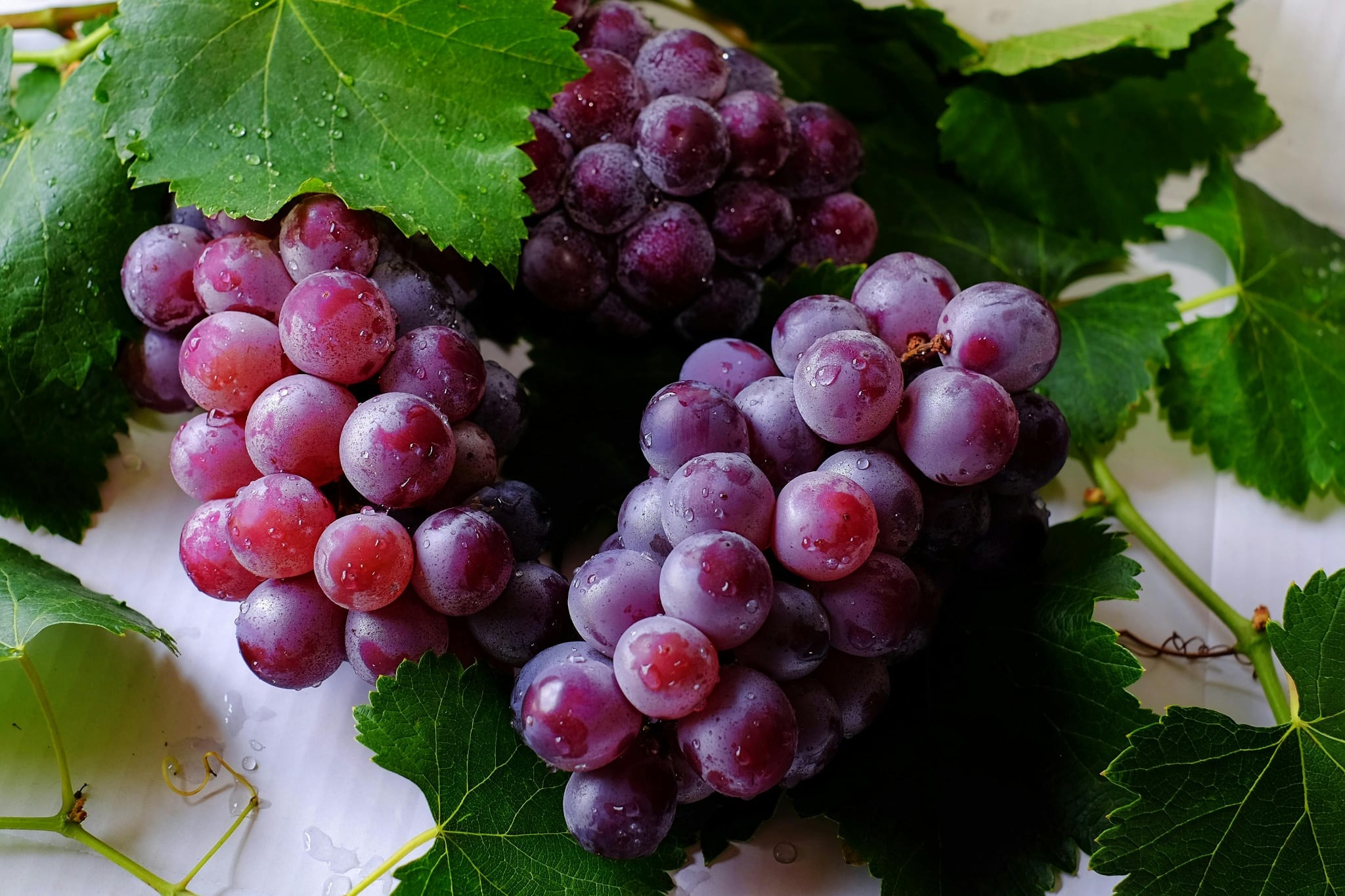 Is the white coating on grapes safe? Experts explain its benefits