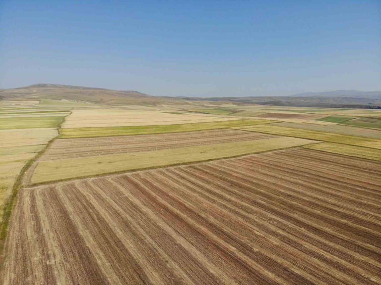Kars’ta tarım arazileri halı deseni gibi rengarenk