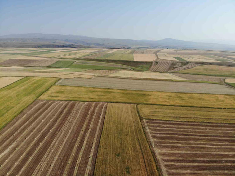 Kars’ta tarım arazileri halı deseni gibi rengarenk