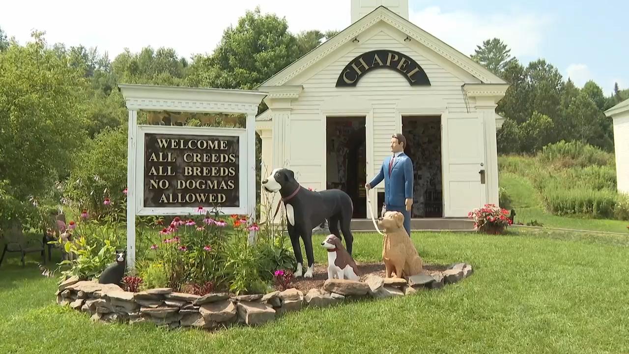 A massive mountain park in Vermont celebrates the bond between dogs and ...