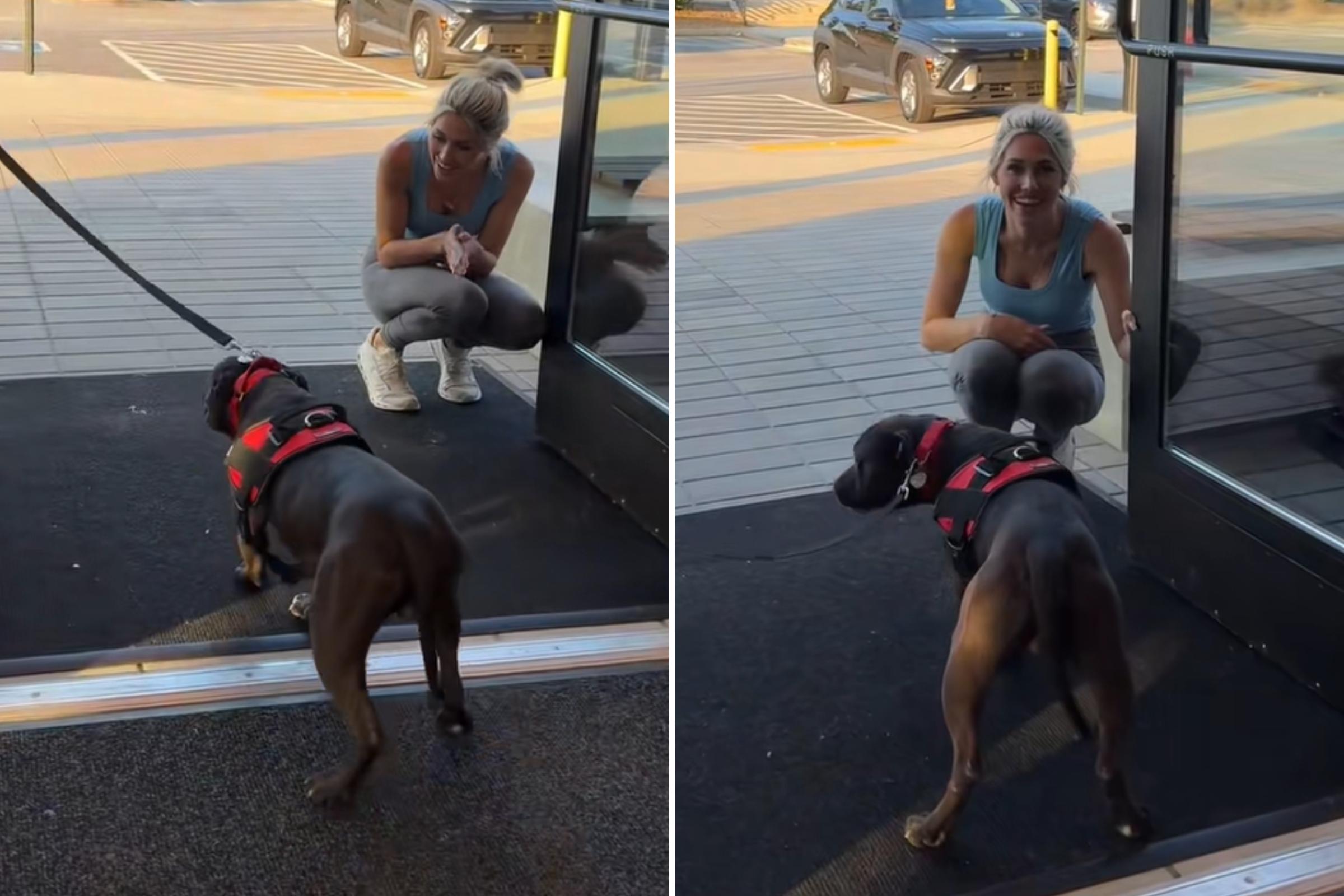 Terrified dog is days away from euthanasia—then something amazing happens