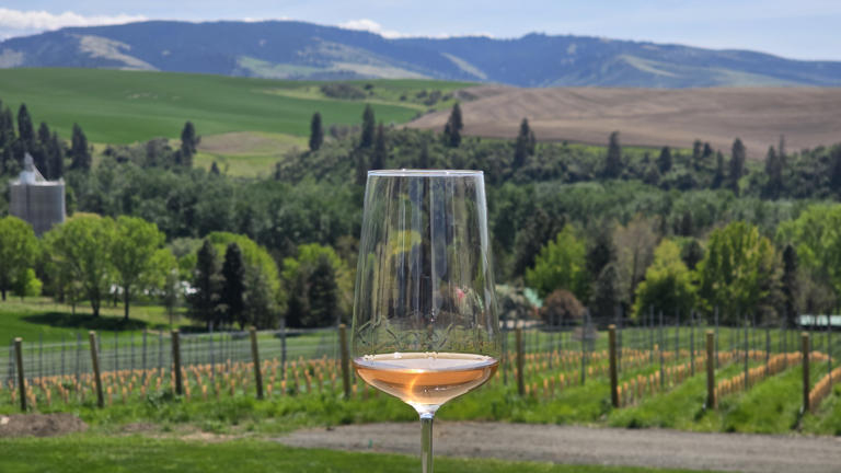 Confused by wine labels? How to decode dry, sweet, and everything in ...