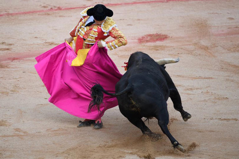 Bullfighting hit by cheating scandal which could save it from dying out