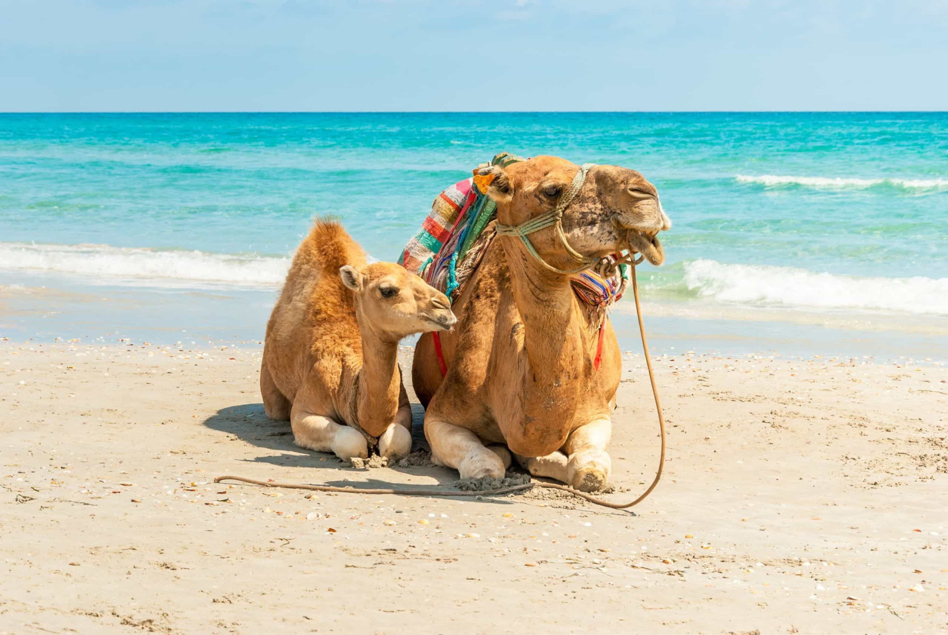 Top North African destinations for your bucket list