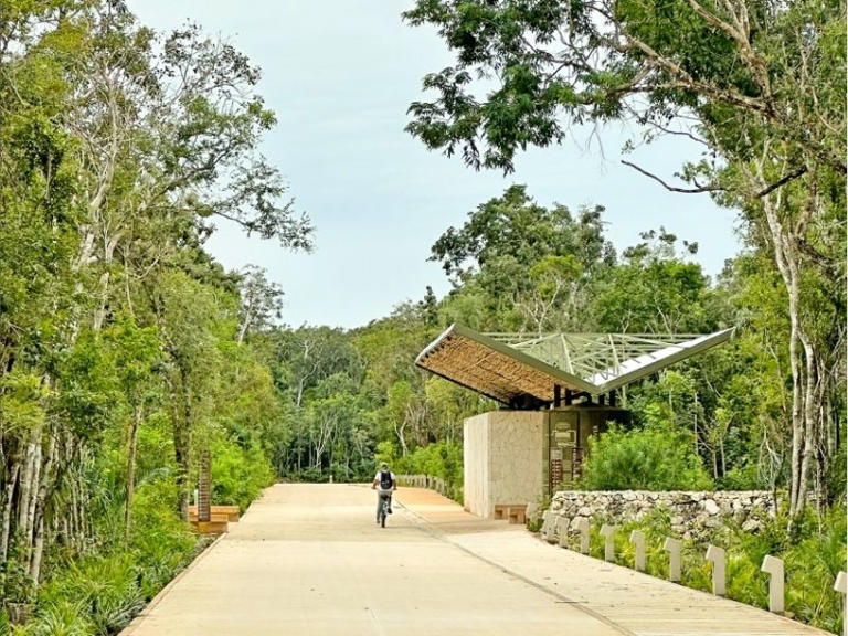 What You Need to Know About Tulum Jaguar Park (Read This Before You Go)