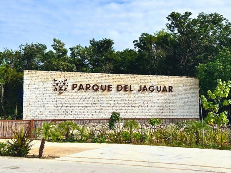 What You Need to Know About Tulum Jaguar Park (Read This Before You Go)