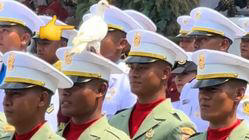 Momen Unik, Merpati Hinggap di Topi Prajurit Saat Upacara HUT RI di ...