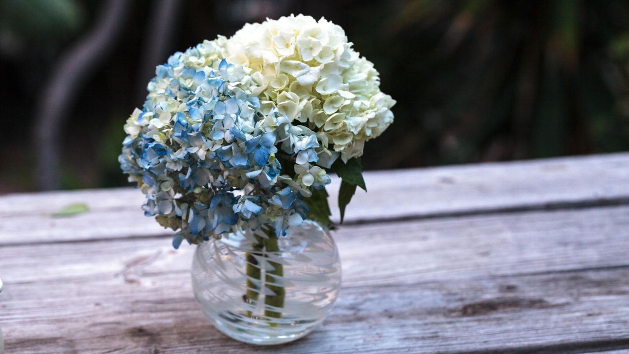 How to make a hydrangea table arrangement – it's so chic and simple
