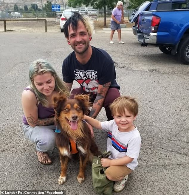 Missing dog named Rusty found wandering on highway 1,000 miles away ...