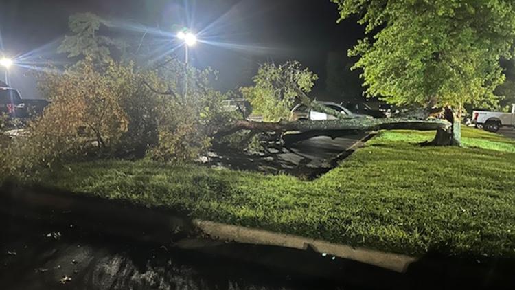 Tree traps camper, marina docks damaged during Monroe County severe storms
