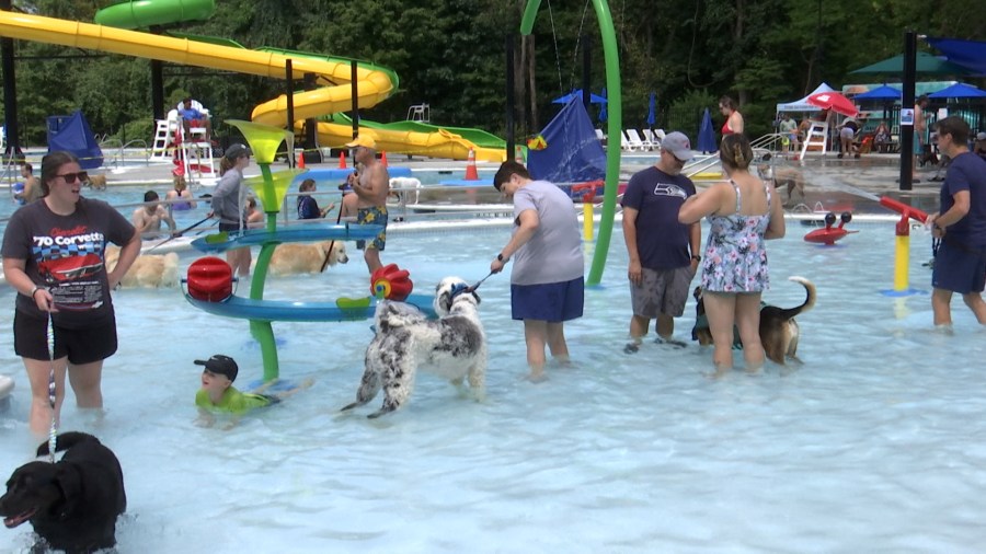 Animal Friends hosts 22nd annual Splash Bash at Marilla Pool