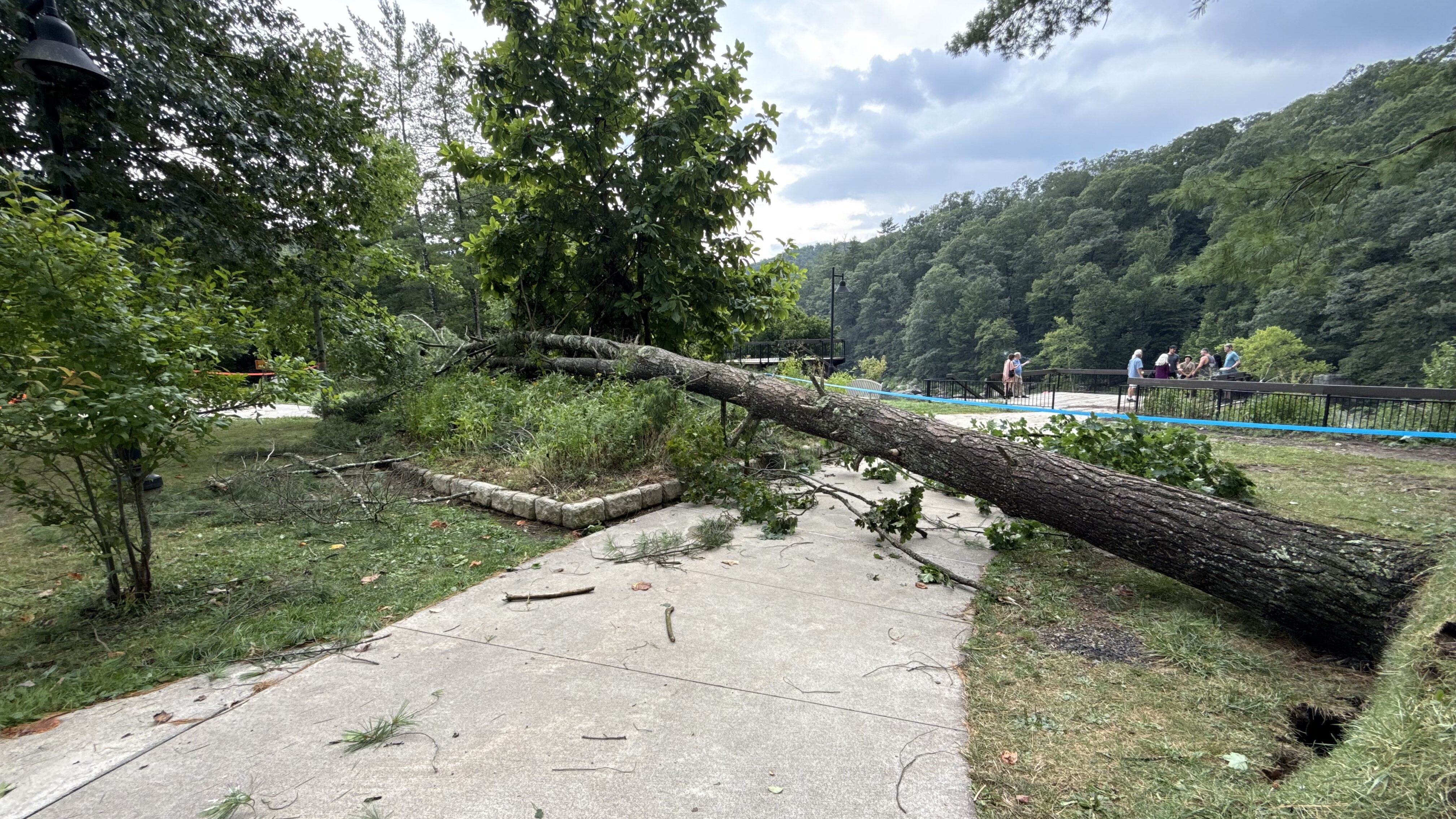 Damaging winds topple trees, power lines at Ohiopyle State Park