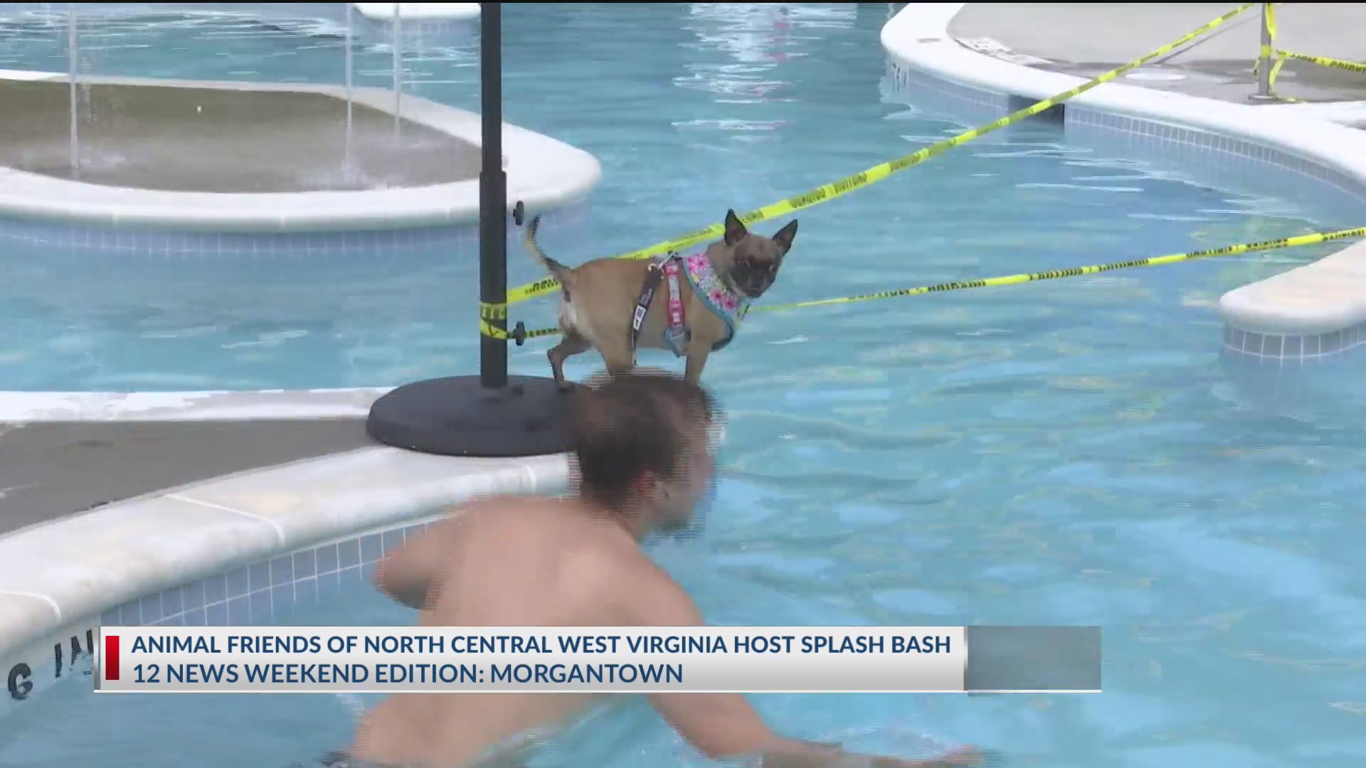 Animal Friends hosts 22nd annual Splash Bash at Marilla Pool
