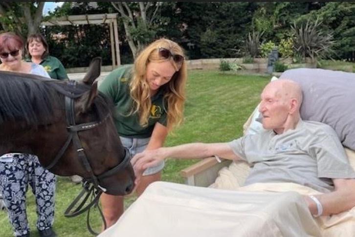 Retired racehorse and Welsh pony bring joy to patients at Prince of ...