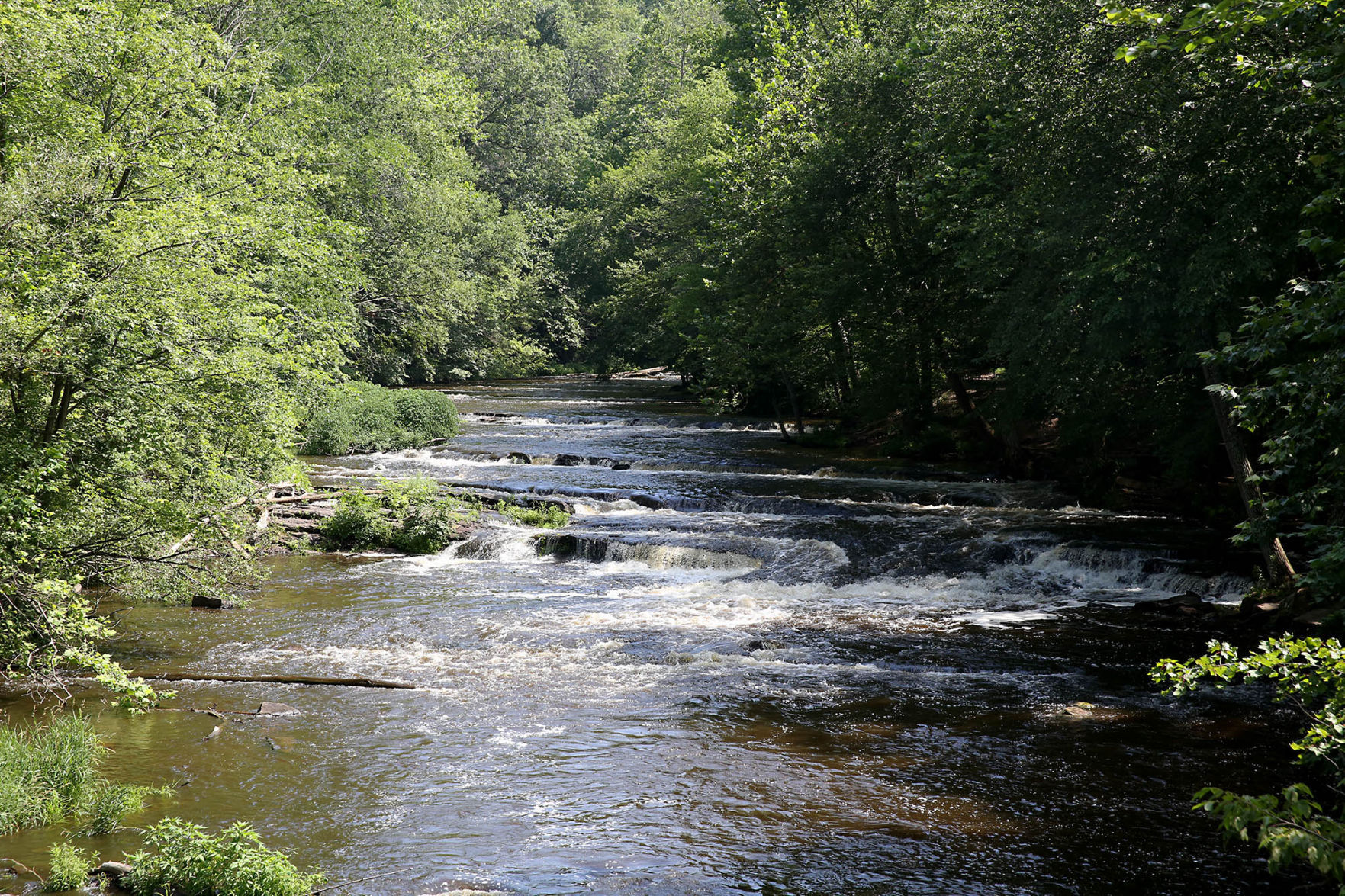 6 Connecticut state parks close to new visitors on Sunday after ...