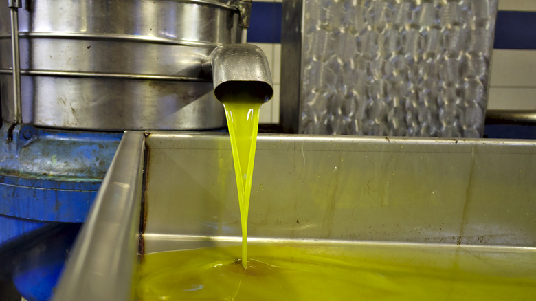 The Ultimate Guide To Olives