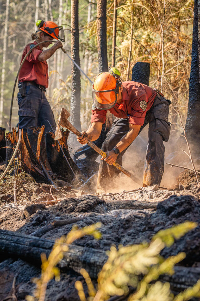 New approaches needed for Canada to prepare for, combat wildfires: experts