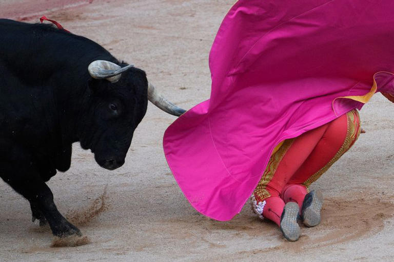 Bullfighting hit by cheating scandal which could save it from dying out