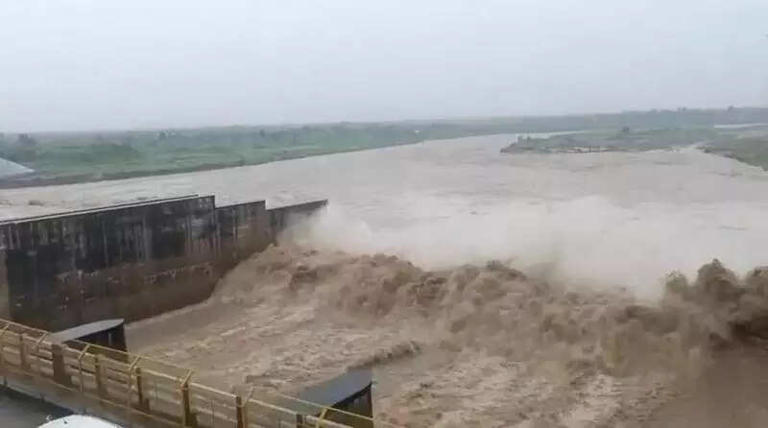Yamuna in spate: Water released from Hathnikund barrage, Delhi on flood ...