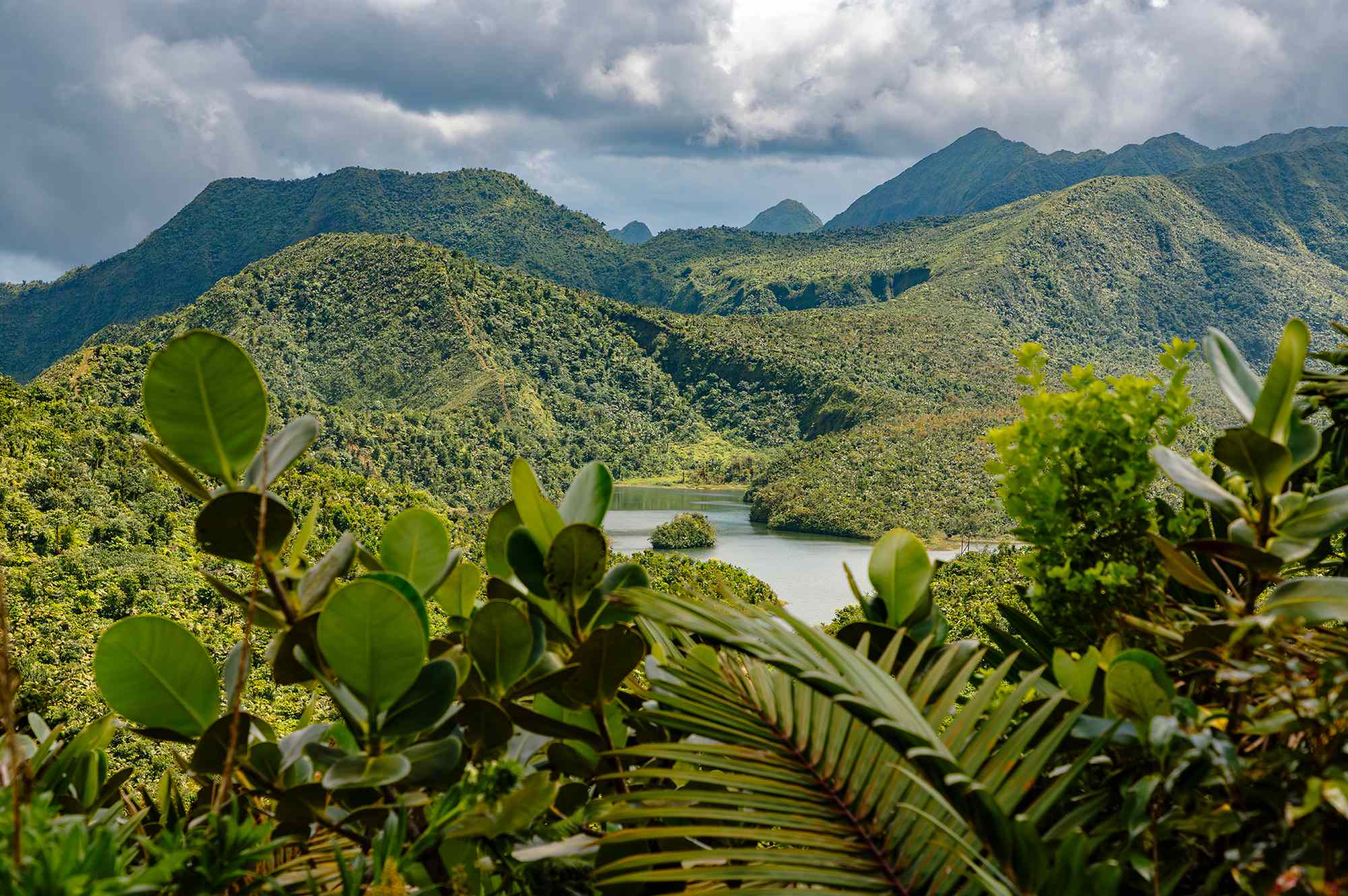 How Dominica captured my heart: A Caribbean adventure