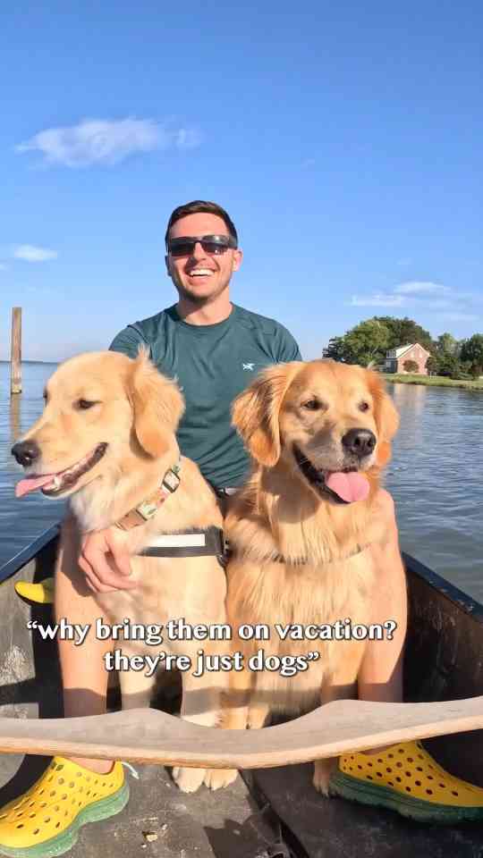 Traveling with Dogs: Making Vacations Complete