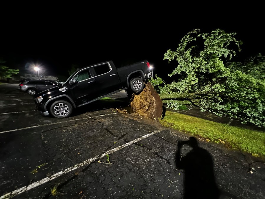 Tree falls on female, 100 stranded on docks amidst severe storm in ...