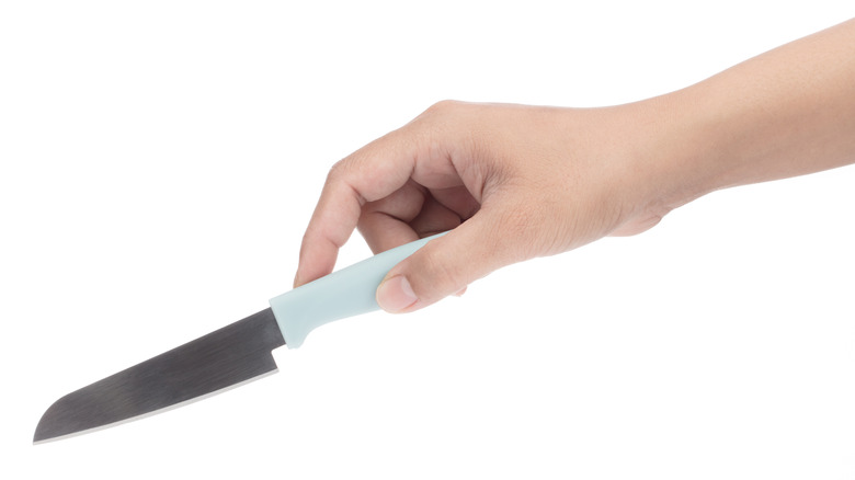 30 Types Of Knives, Explained