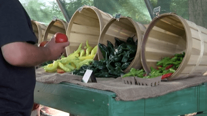 Big Jim Farms kicks off their green chile season