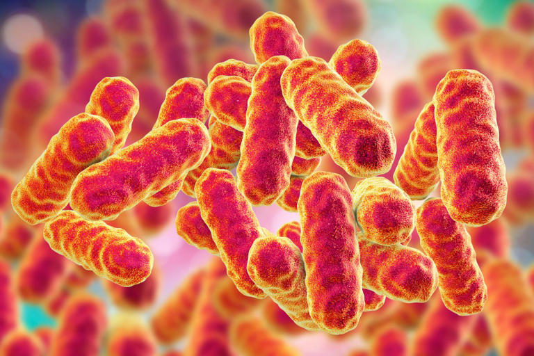 A2 Milk Targets Margin Growth, Buys Manufacturing Facility