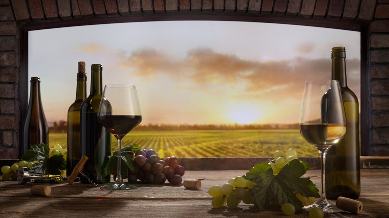 14 World-Class Wine Regions That Might Be In Your Own Backyard