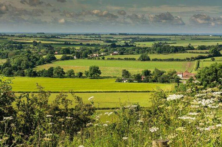 Lincolnshire nature plan is like 'moving deckchairs on the Titanic' but ...