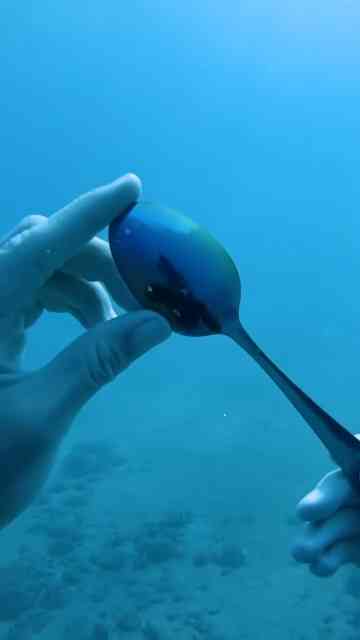 Such a Cool Trick Using a Spoon – Let Me Know How It Goes!