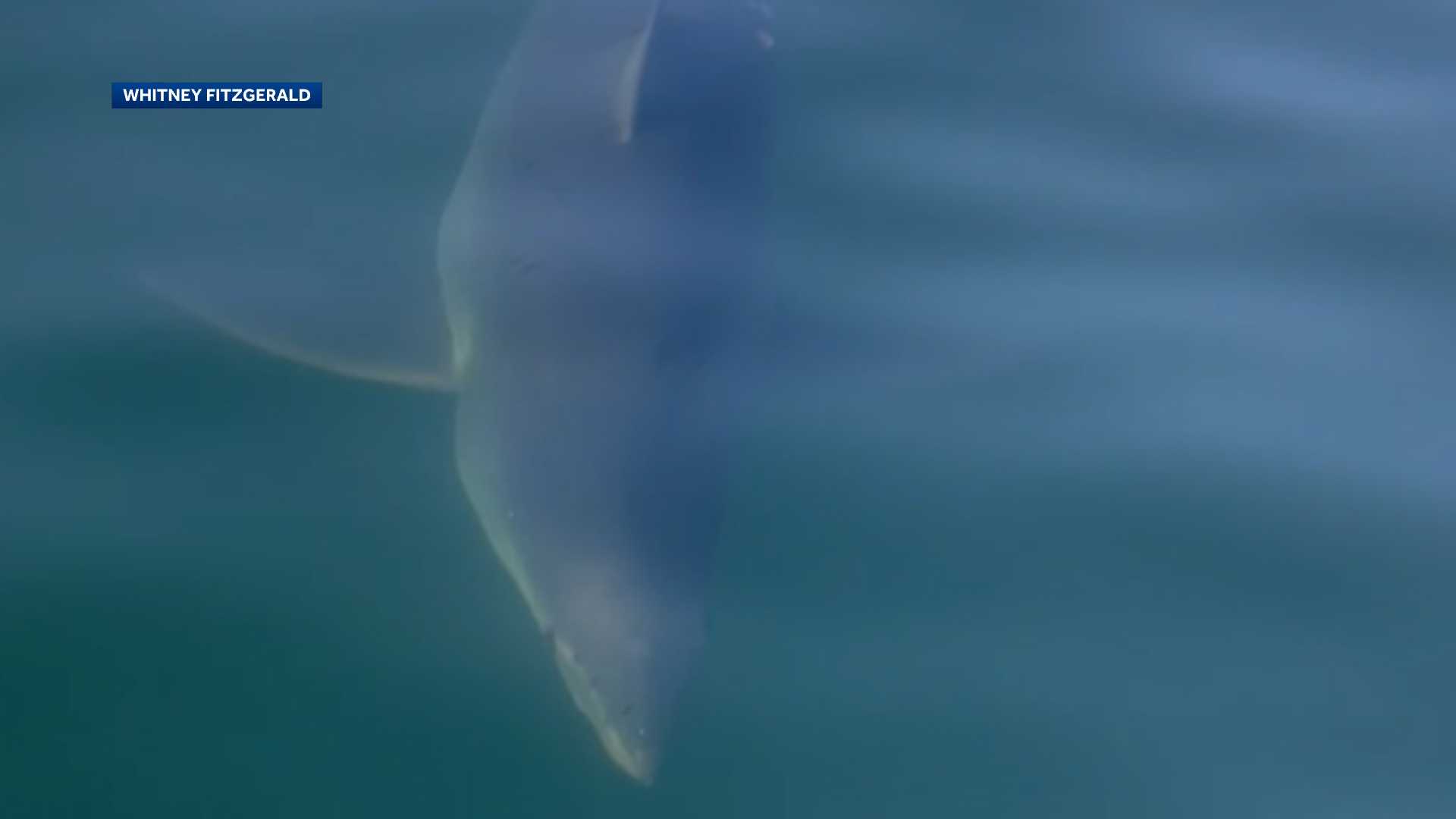 News 9 exclusive: Three New Hampshire residents have close encounter ...