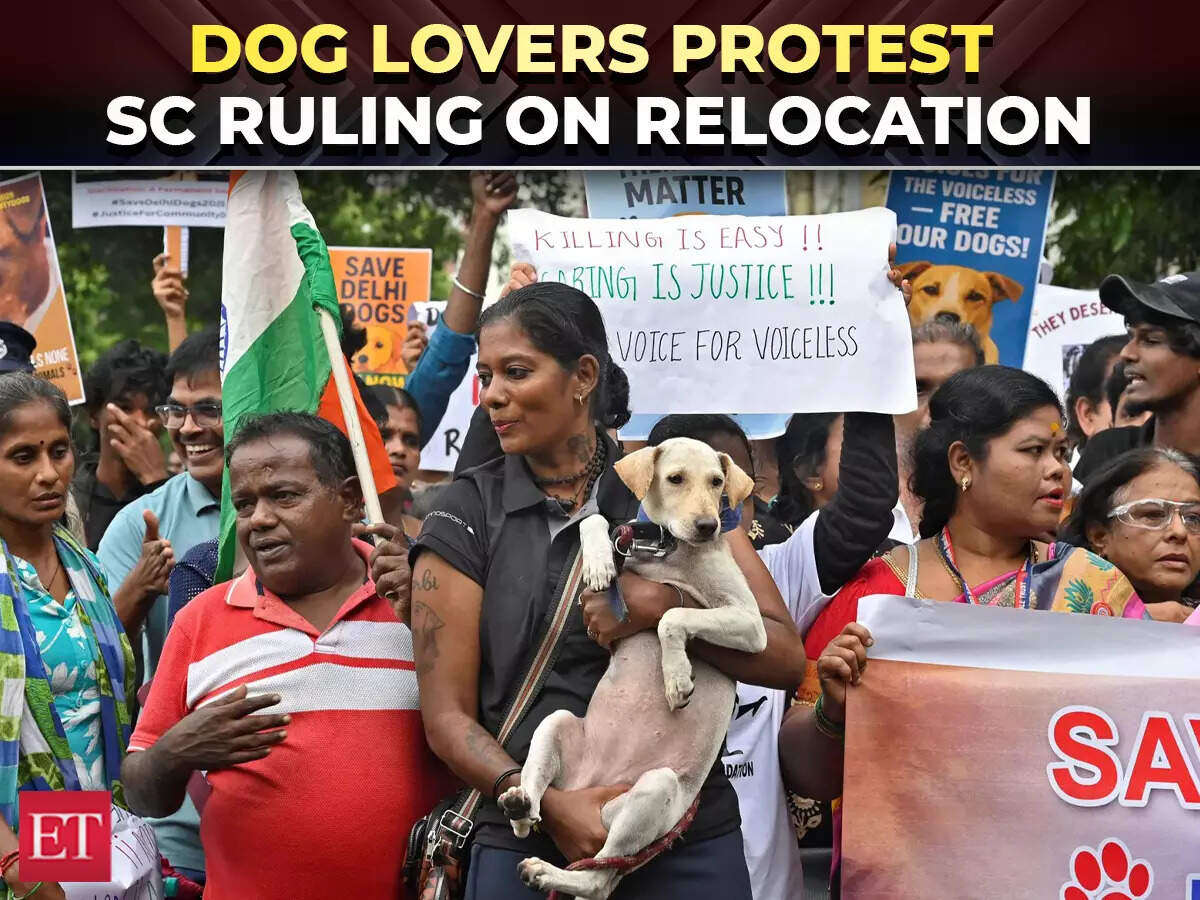 Sending stray dogs to shelter homes is inhuman: Animal lovers stage ...