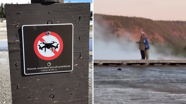 Onlooker shares video after capturing national park visitor's careless ...