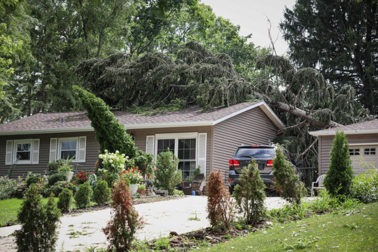 Storms leave widespread damage in Cary Fire District, officials receive ...