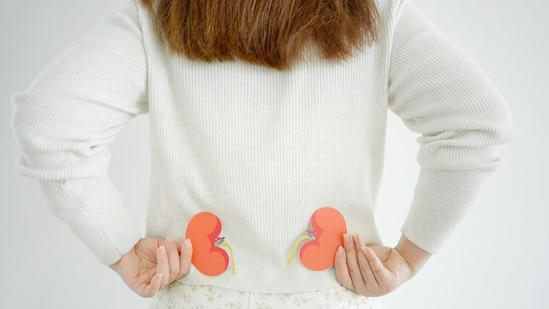 Are your kidneys stressed? Nephrologist shares 7 red flags to never ...