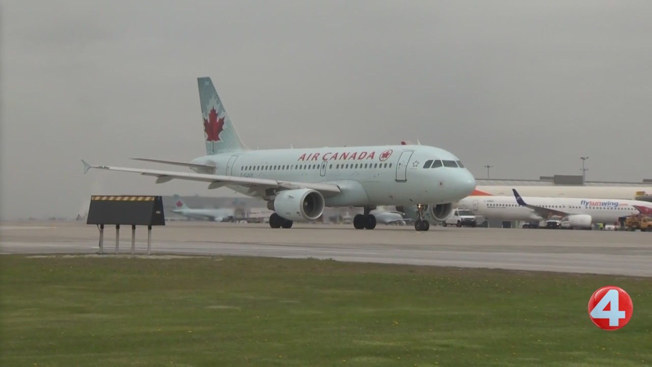 Buffalo family stranded in Sicily due to Air Canada strike