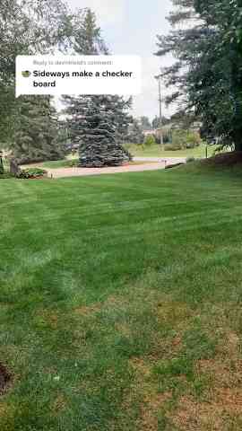 Easy Lawn Care Tips for a Perfect Yard