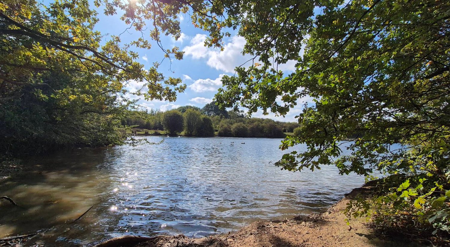 Man, 27, drowns at popular Nuneaton beauty spot