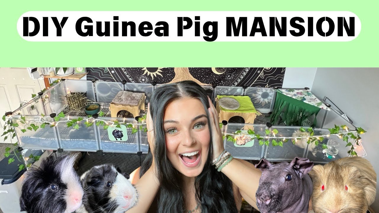 How to Build a Guinea Pig Mansion!