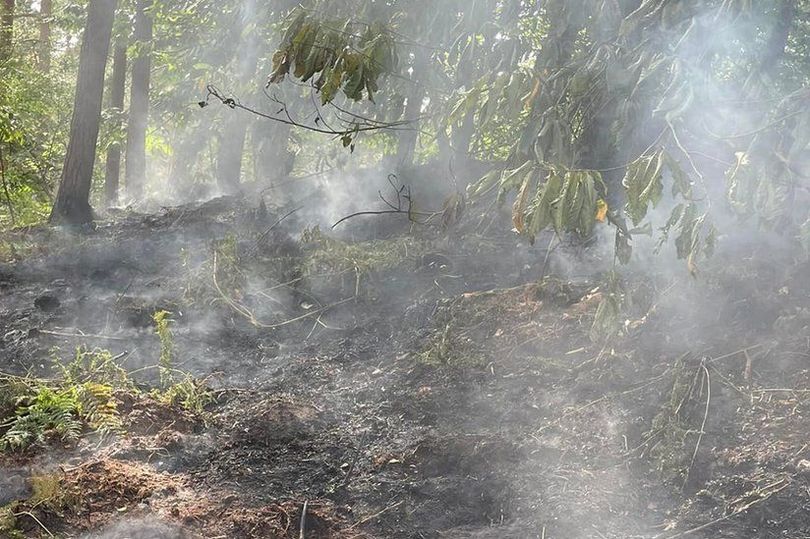 Fire in woodland 'deliberate' as risk to life warning issued