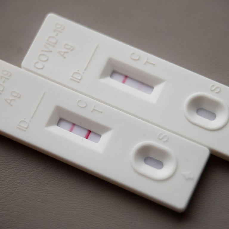 Vor allem Frauen betroffen?: Covid-Infektion könnte Blutgefäße ...