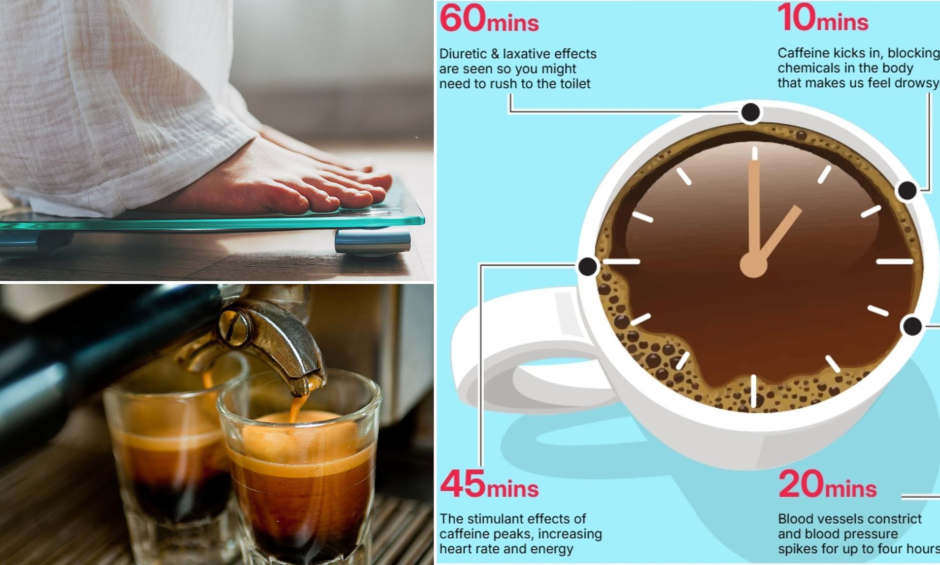 Expert reveals the viral coffee trend causing you to GAIN weight: 'It's ...