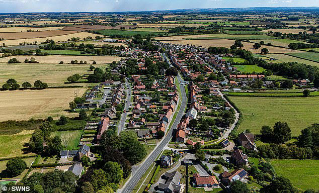Battle to save the Stillington Geese: Villagers fight council plans to ...