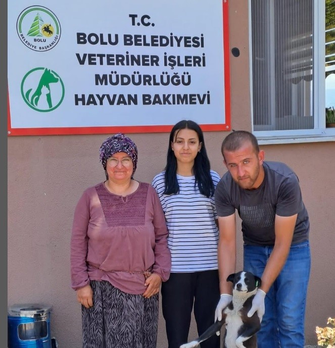 Bolu’da 10 sahipsiz sokak hayvanı yeni yuvasına kavuştu