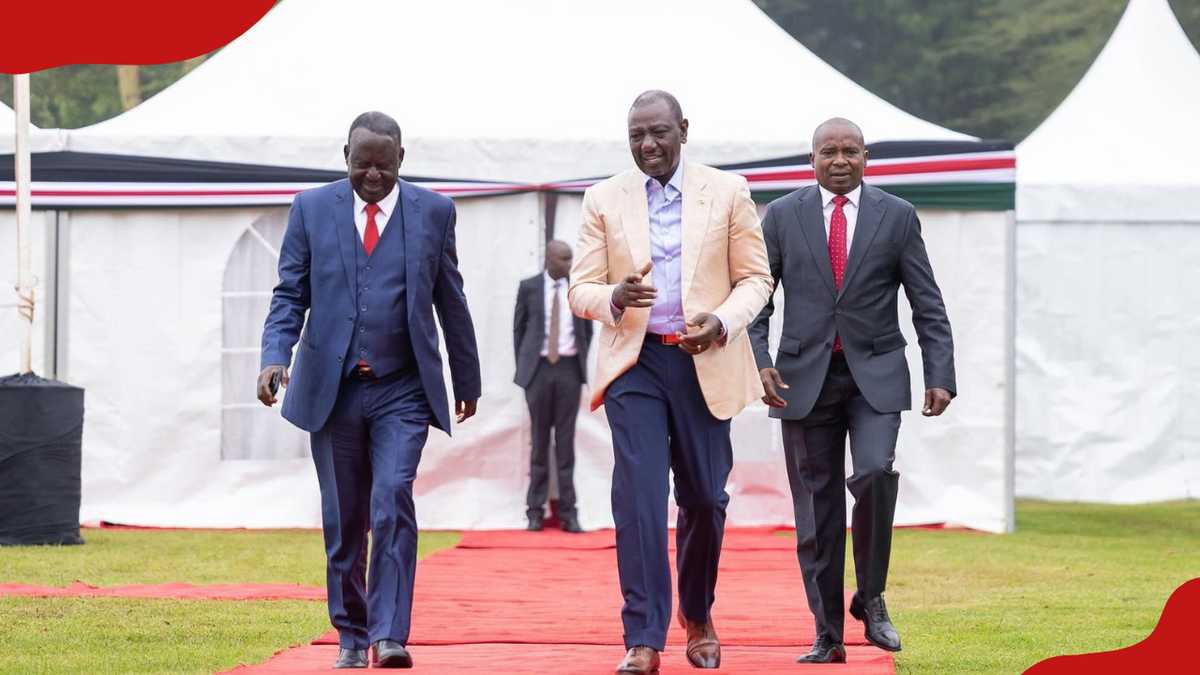 Edwin Sifuna, Babu Owino skip ODM-Kenya Kwanza PG chaired by Ruto and Raila