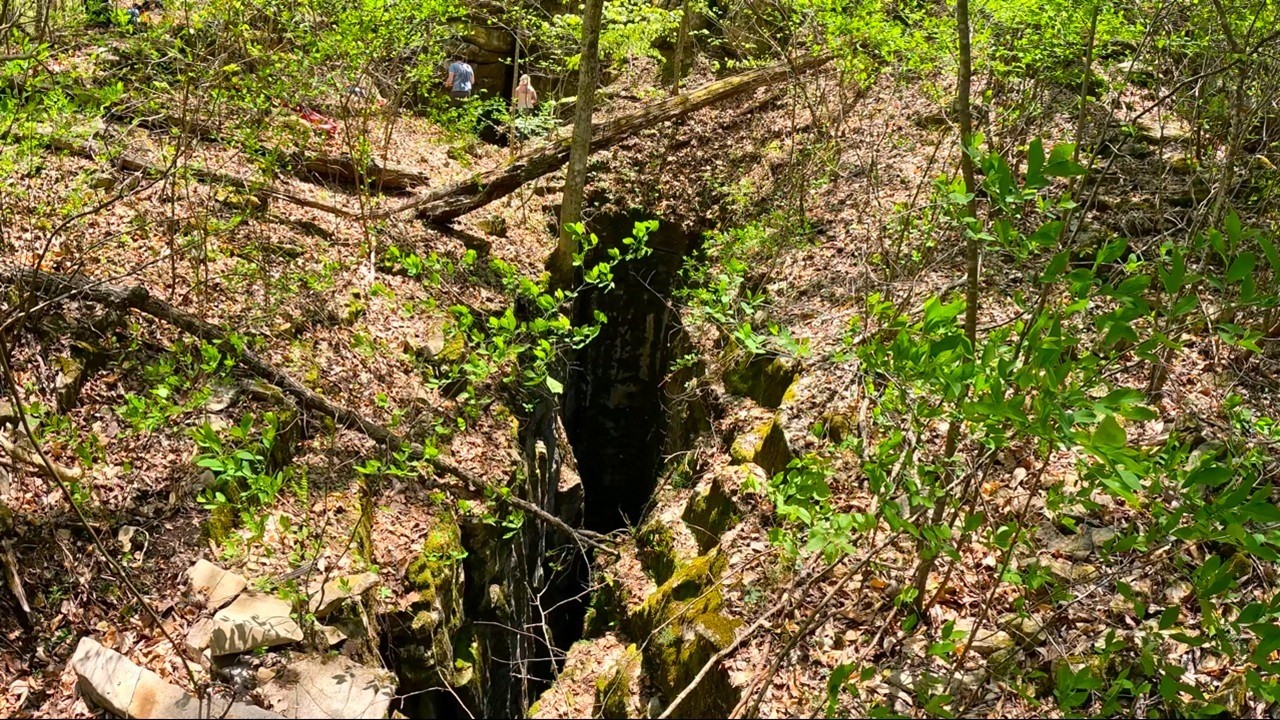 A 500 Foot Deep Crack Splits the Forest Floor Wide Open