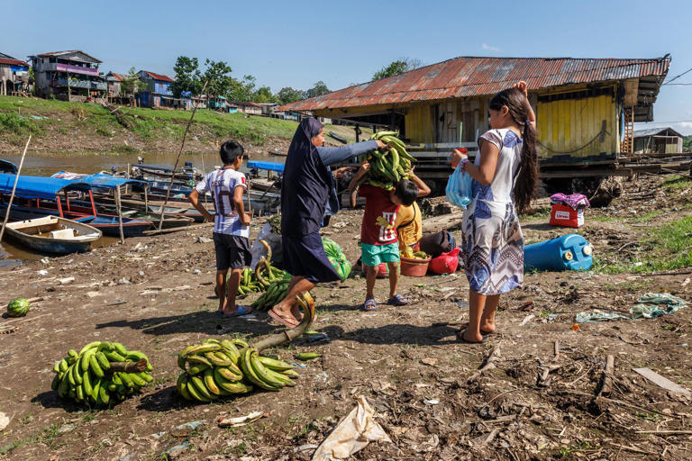 Colombia está en riesgo de quedarse sin acceso al río Amazonas: la ...